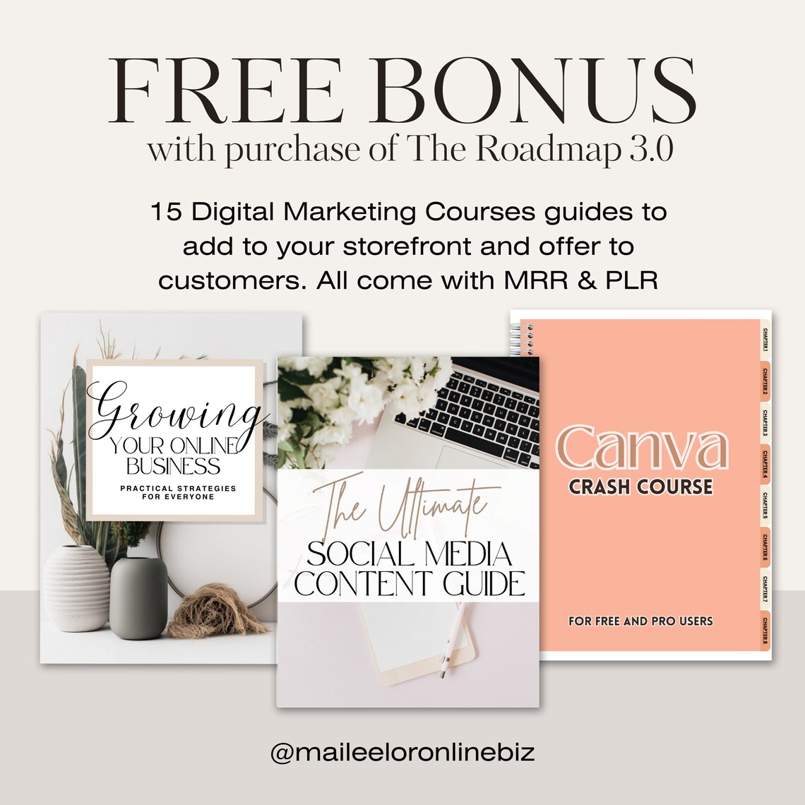 Roadmap to Riches 3.0 Training Course Digital Marketing Done for You ...