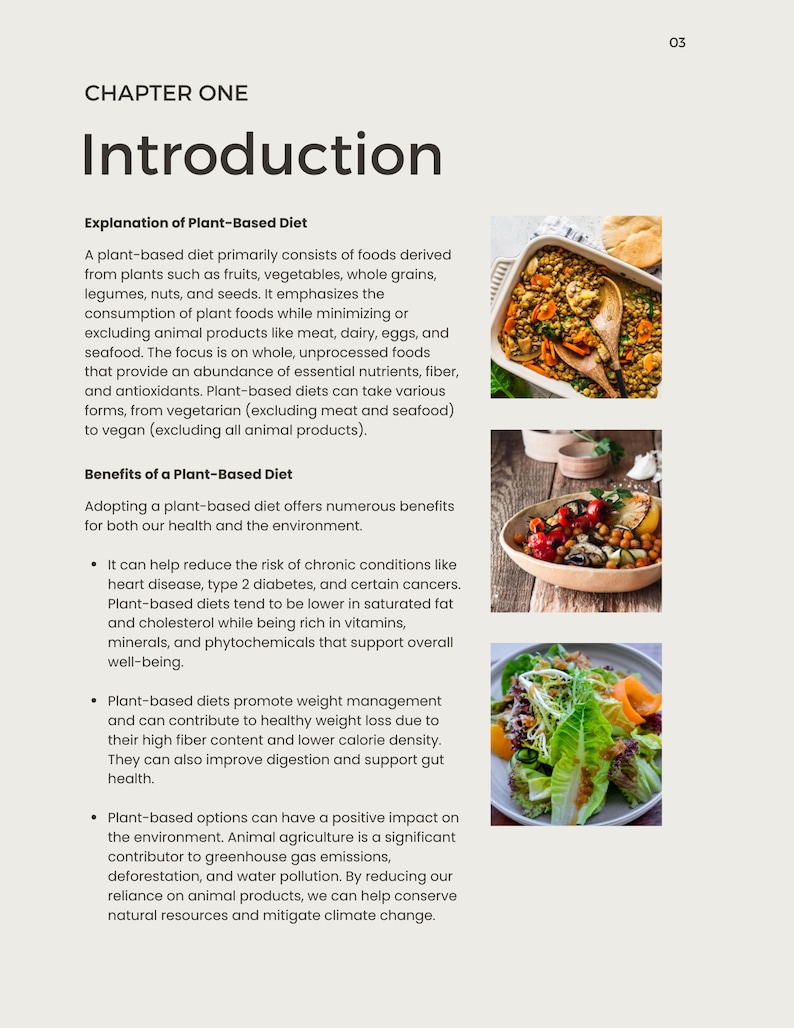 4 Week Plant Based Meal Plan-meal Plan Template-grocery List-food ...