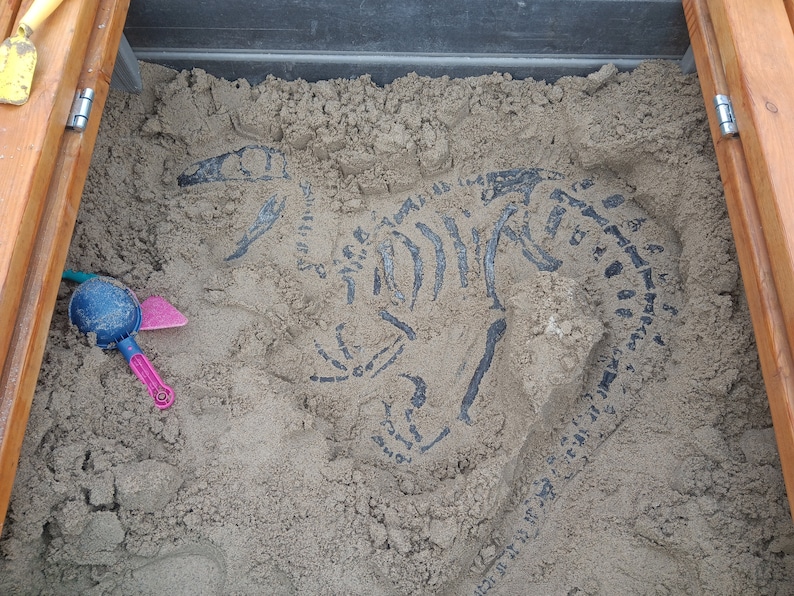 Fossil Replica Raptor Skeleton - Etsy