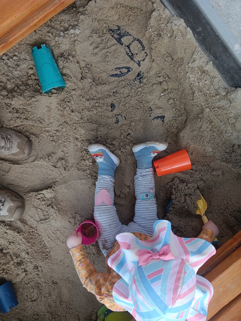 Sandbox Fossils Raptor - Etsy