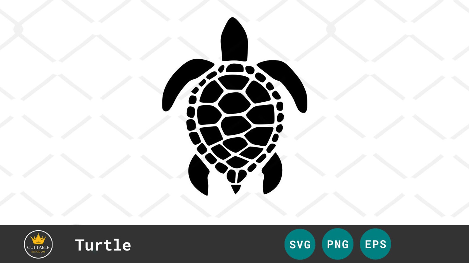 Turtle SVG, PNG, Eps, Jpg Digital Download - Etsy