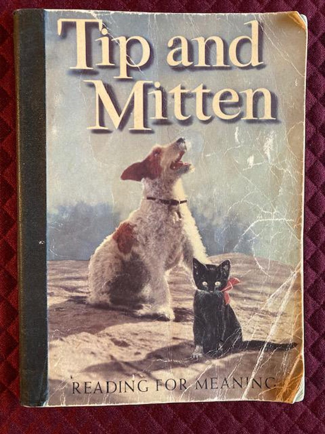 Tip and Mitten Children's Book W/ Library Binding; 1949 Primer W/ Dog ...