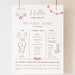 Milestone First Year Baby Facts Sign | Milestone First Birthday Sign ...