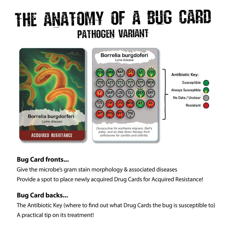 Pharmageddon: Bugs Vs Drugs, A Medical Science Educational Card Game - Etsy