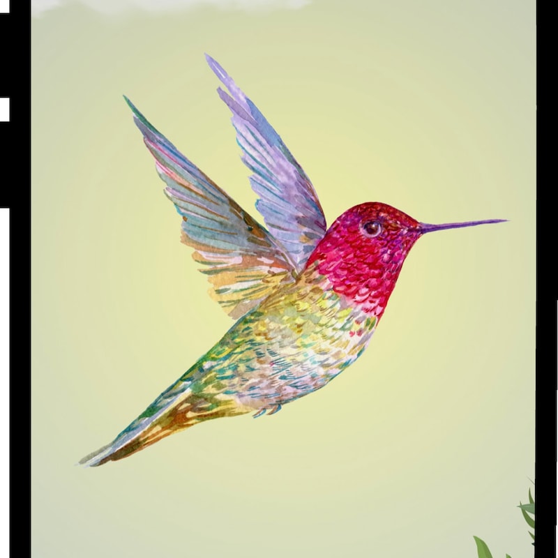 Hummingbirds Wallpaper - Etsy