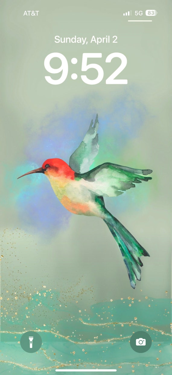 Hummingbird Wallpaper