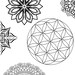 Mandala Coloring Page, Printable Coloring Pages, Relaxing Coloring ...