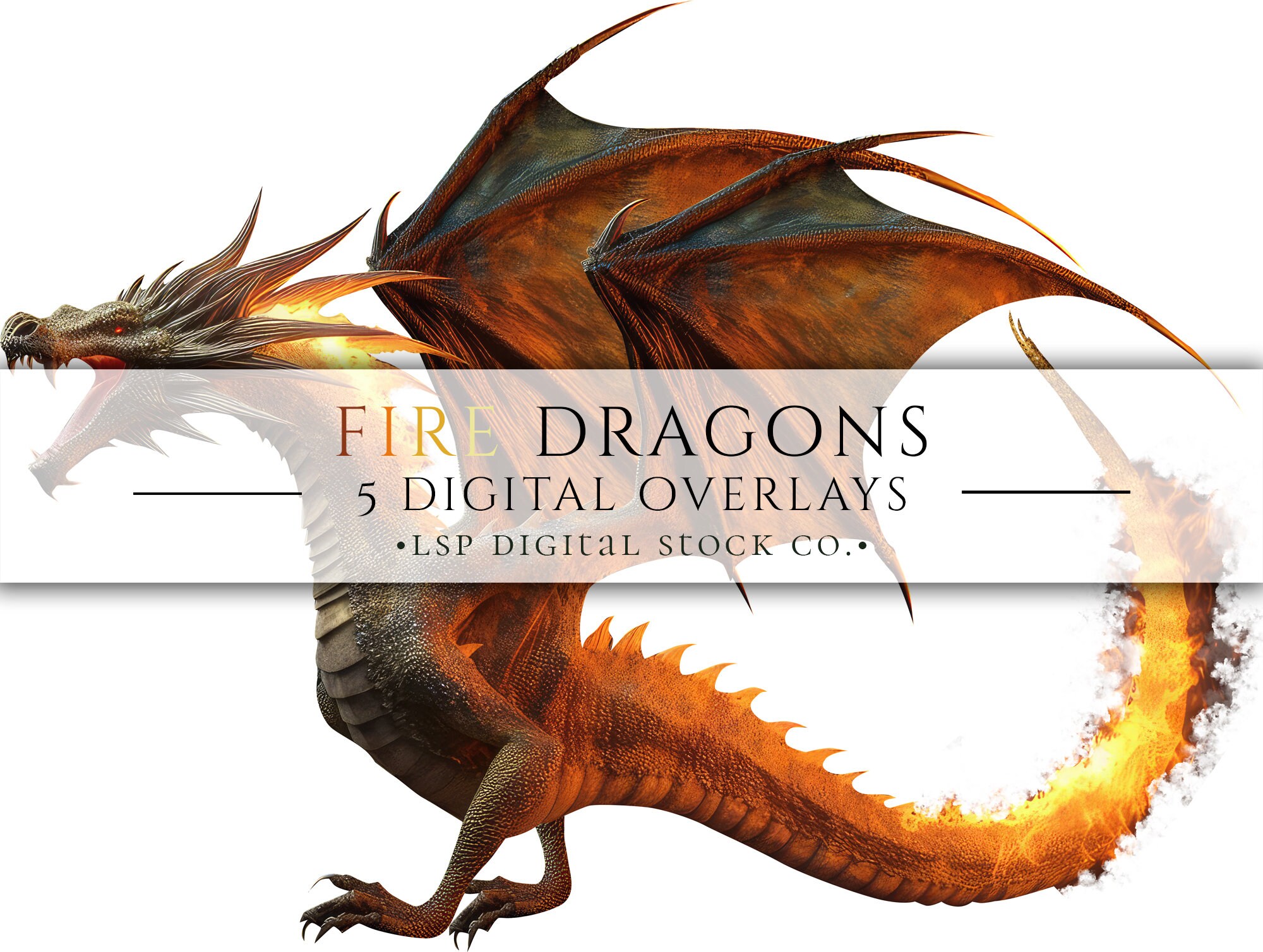 Fire Dragons 5 Digital Overlays, Fantasy Overlays, Magical, Digital ...