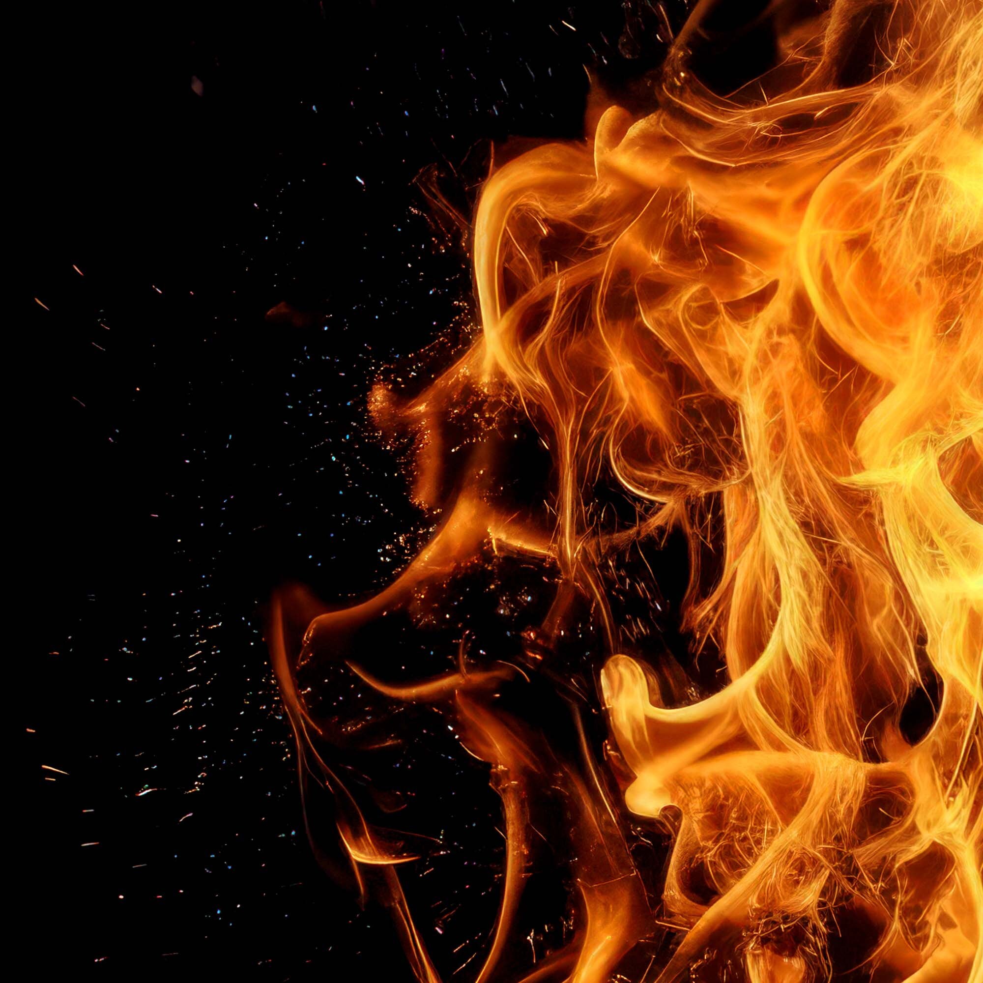 23 Fire & Flames Photoshop Overlays - Etsy