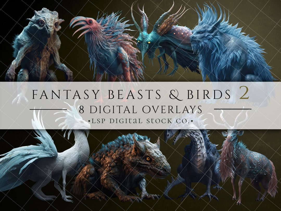 8 Fantasy Beasts & Birds 2, Digital Photography Overlays - Etsy