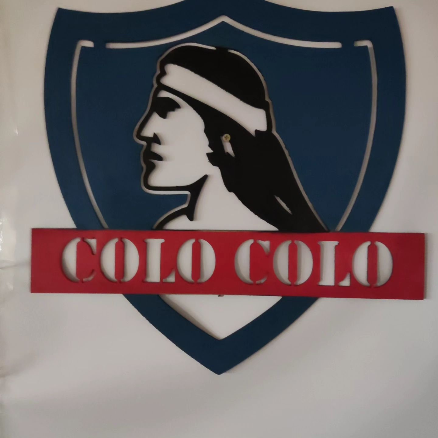 Colo Colo Shield - Etsy