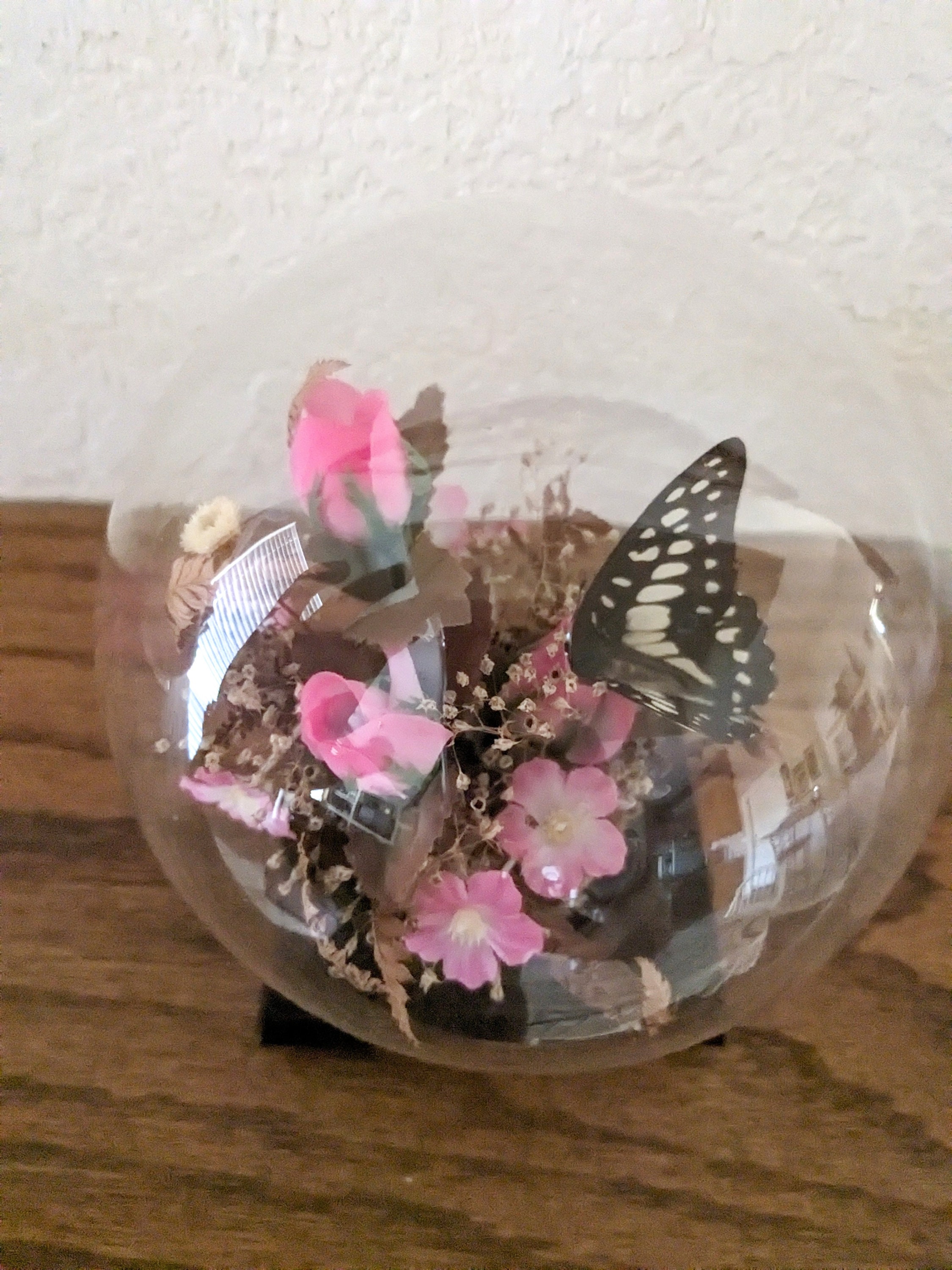 Vintage Butterfly Taxidermy Terrarium Dried Flowers Plants - Etsy