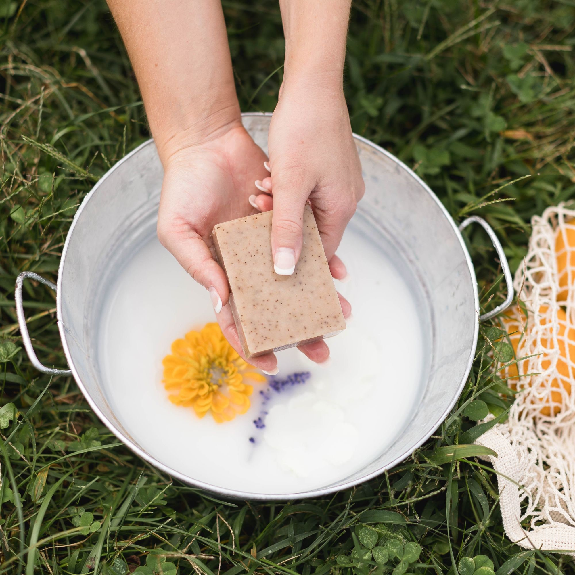 Goat Milk Soap - White Tea & Ginger, 5.5 G | Tallow | SLS Free ...
