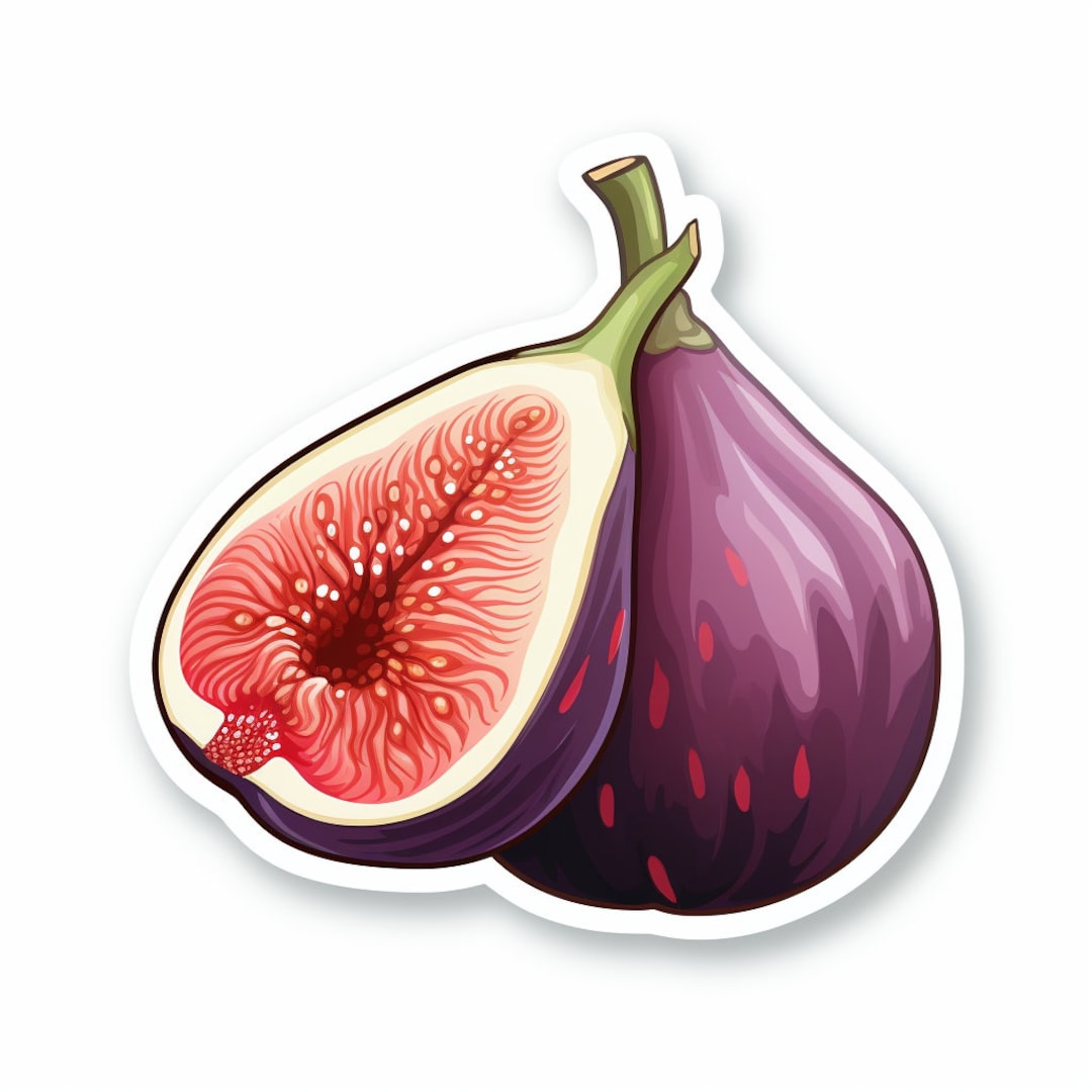 Fig Sticker Fruit Stickervinyl Stickerquality Sticker - Etsy