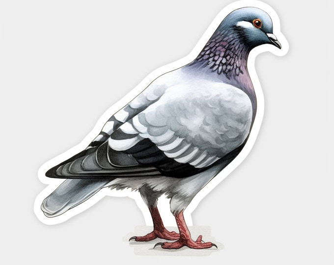 Pigeon Sticker, Bird Sticker, Animal Sticker, Vinyl Sticker - Etsy