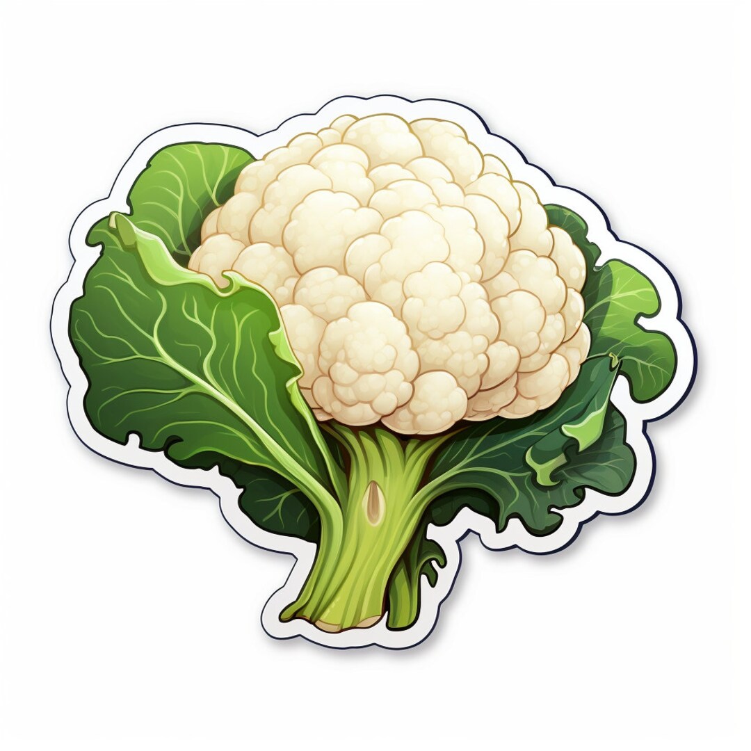 Cauliflower Sticker, Vegetable Sticker,vinyl Sticker,quality Sticker - Etsy