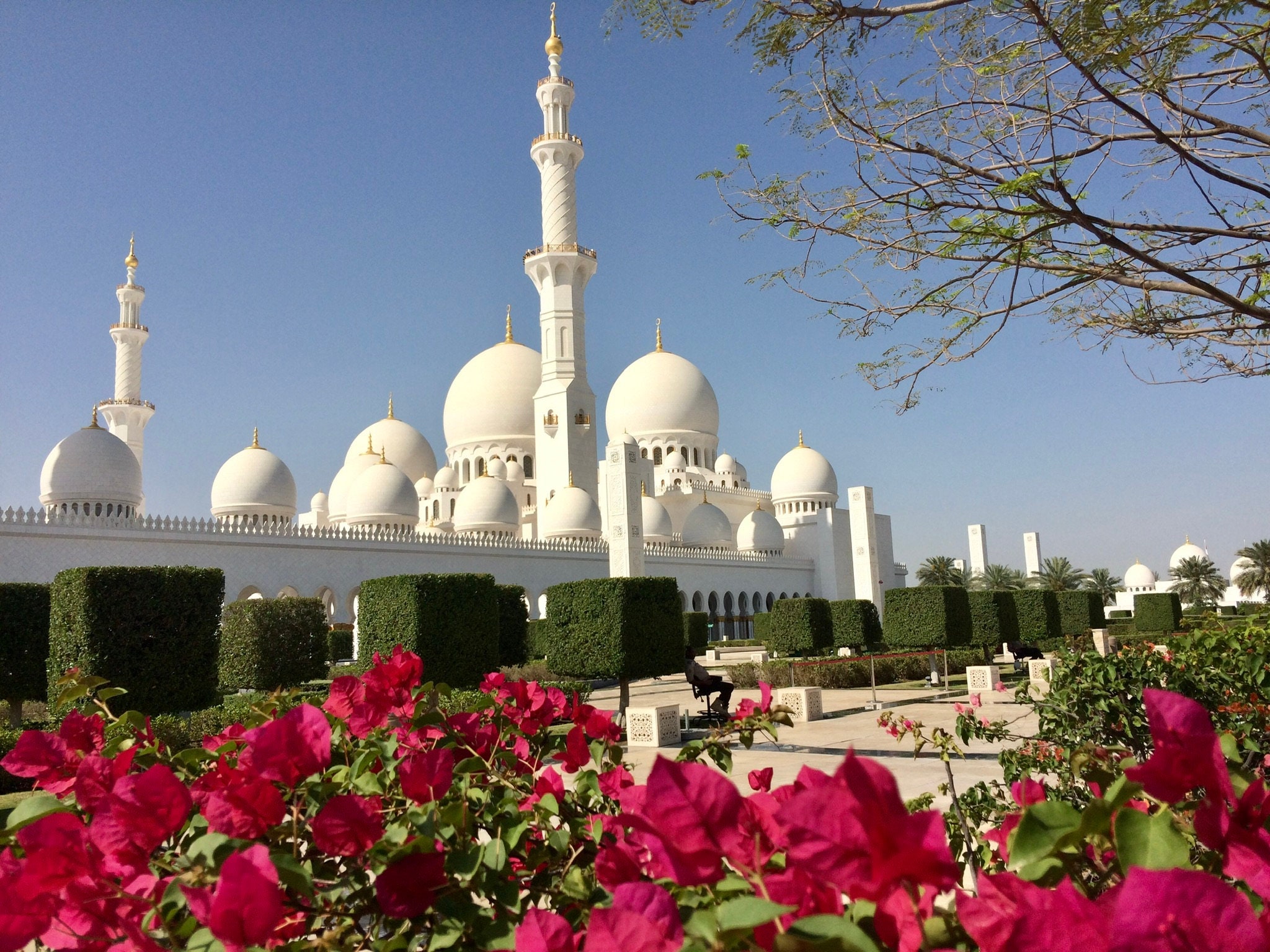 Spring at the Grand Bur Dubai Masjid - Etsy