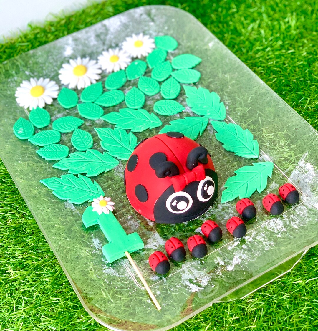 Lady Beetle Cake Topper Set - Etsy