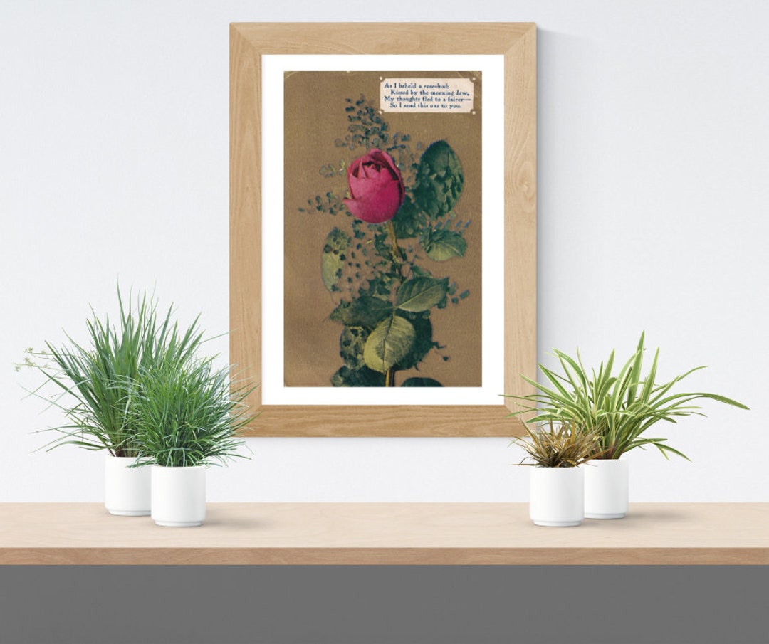 Red Roses Poster, Botanical Print, Vintage Flower Ephemera, Floral ...