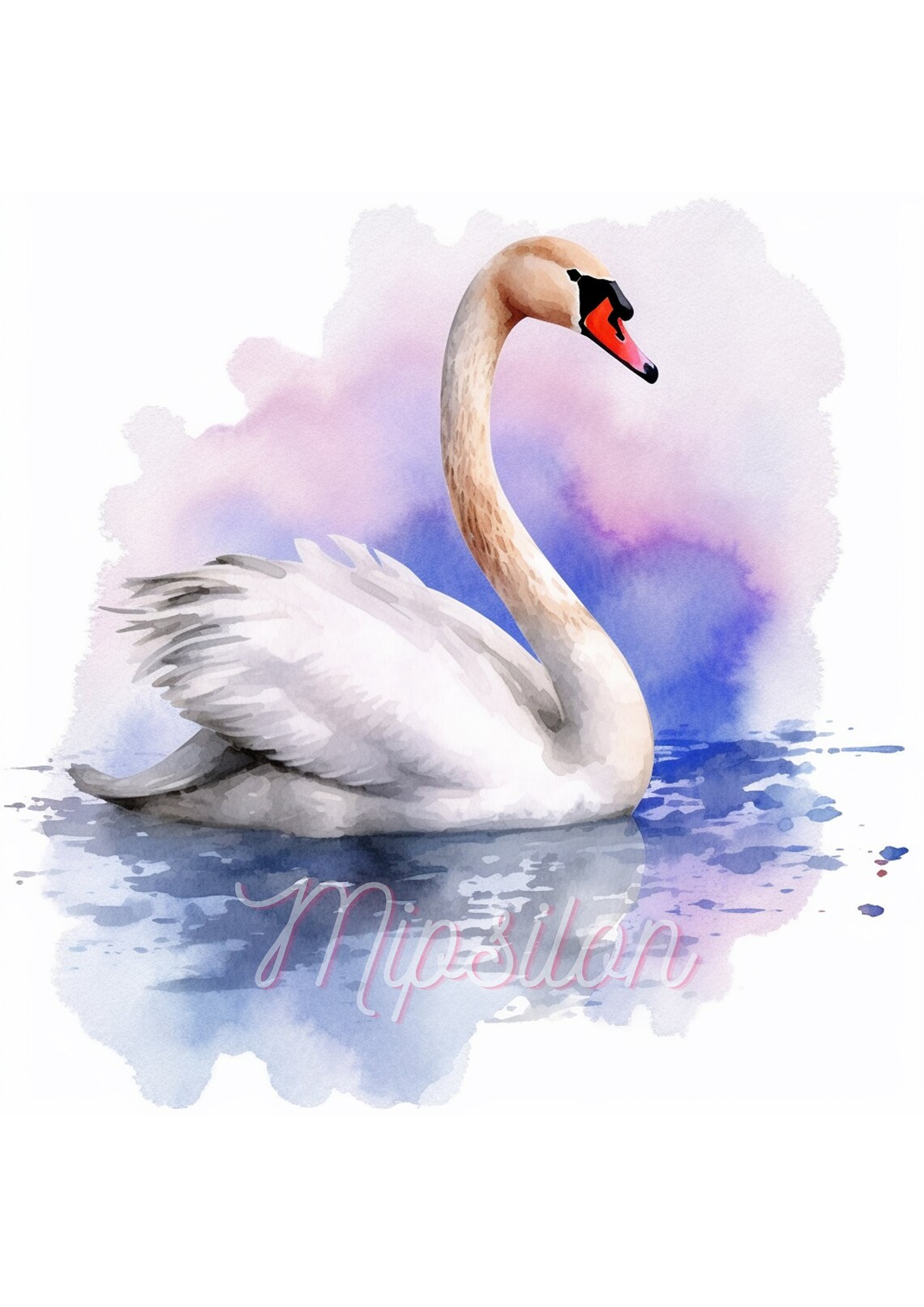 Water Color Swan Clipart, 12 High Quality Jpgs , Digital Download, Mugs ...