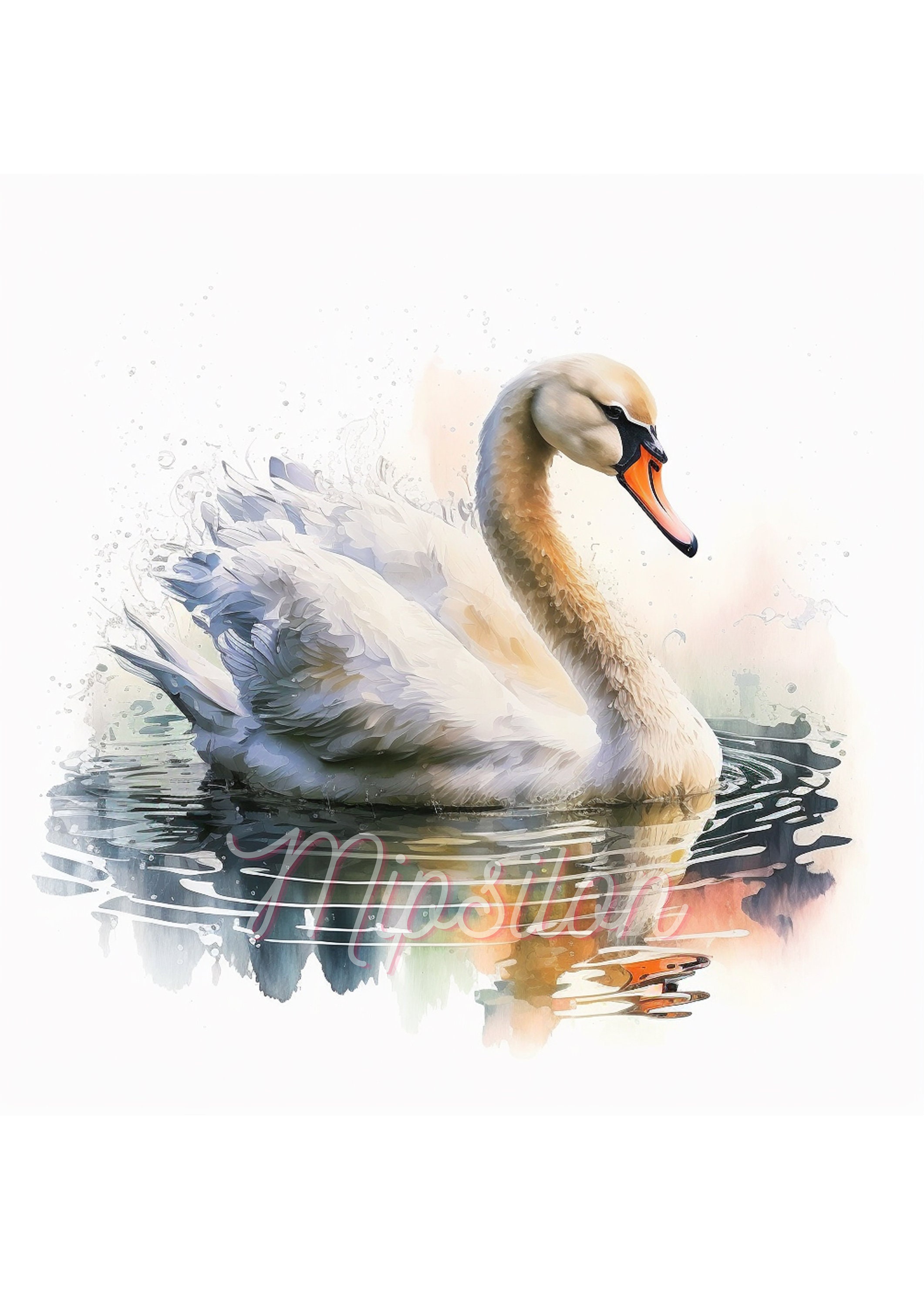 Water Color Swan Clipart, 12 High Quality Jpgs , Digital Download, Mugs ...