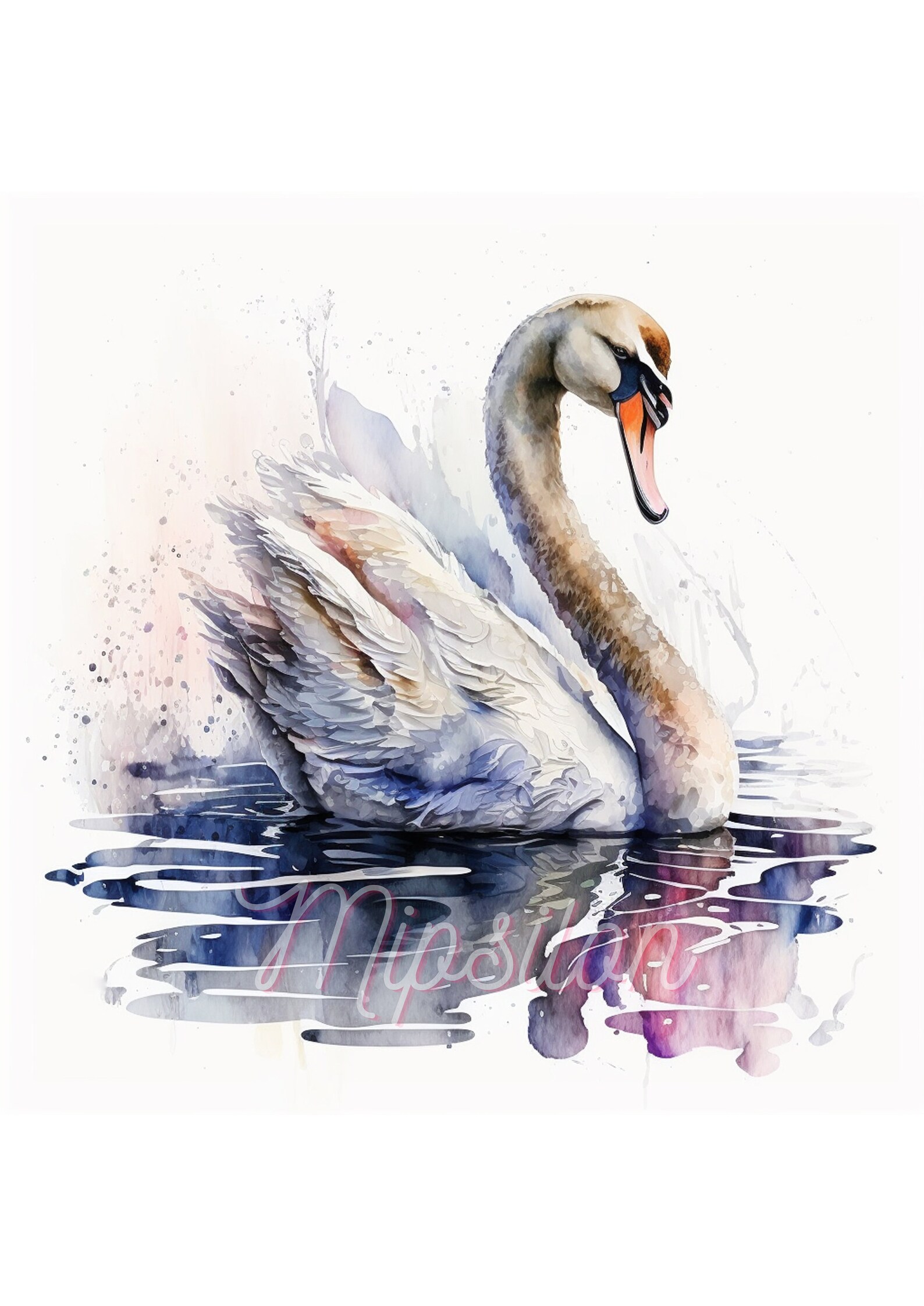 Water Color Swan Clipart, 12 High Quality Jpgs , Digital Download, Mugs ...