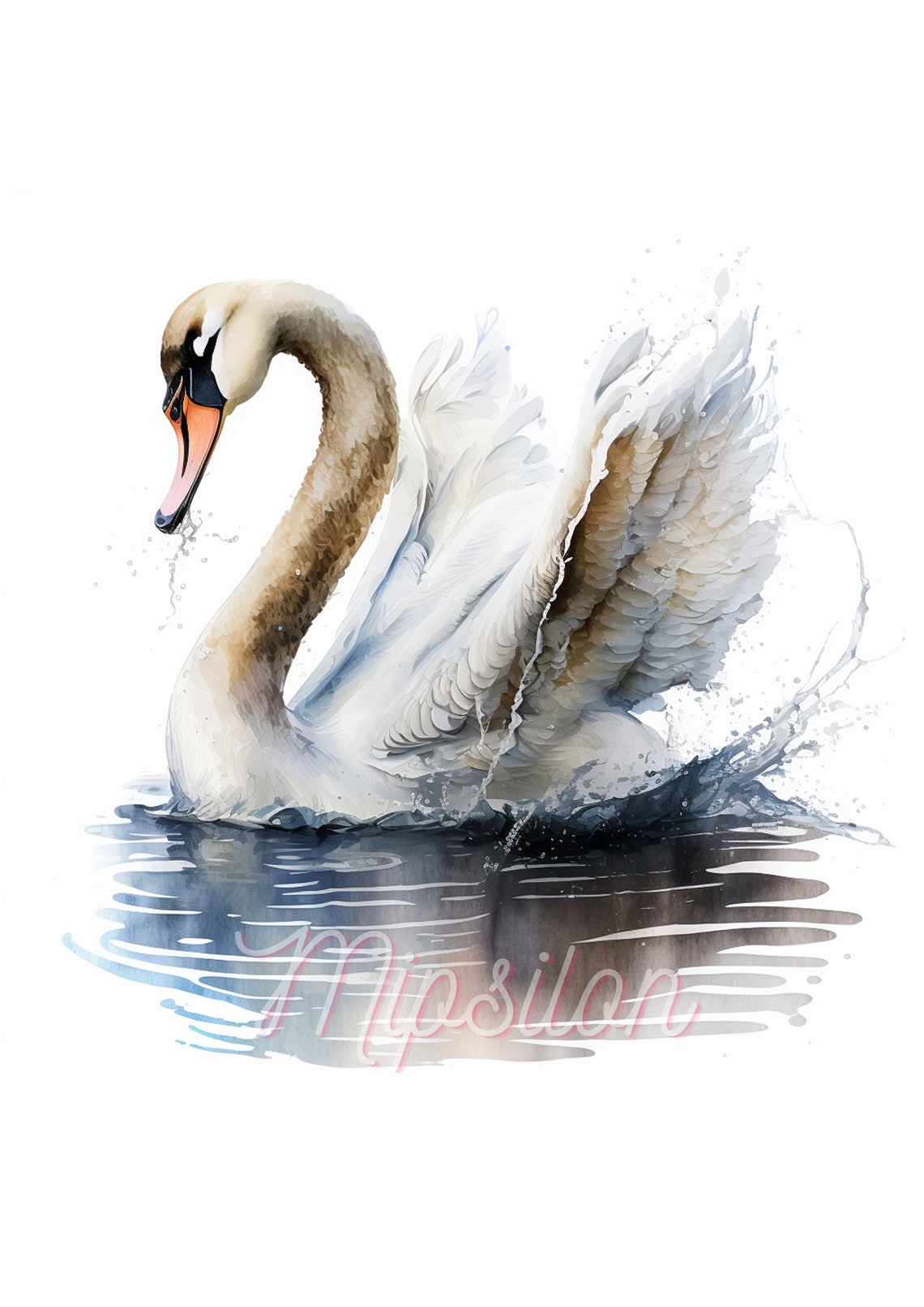 Water Color Swan Clipart, 12 High Quality Jpgs , Digital Download, Mugs ...