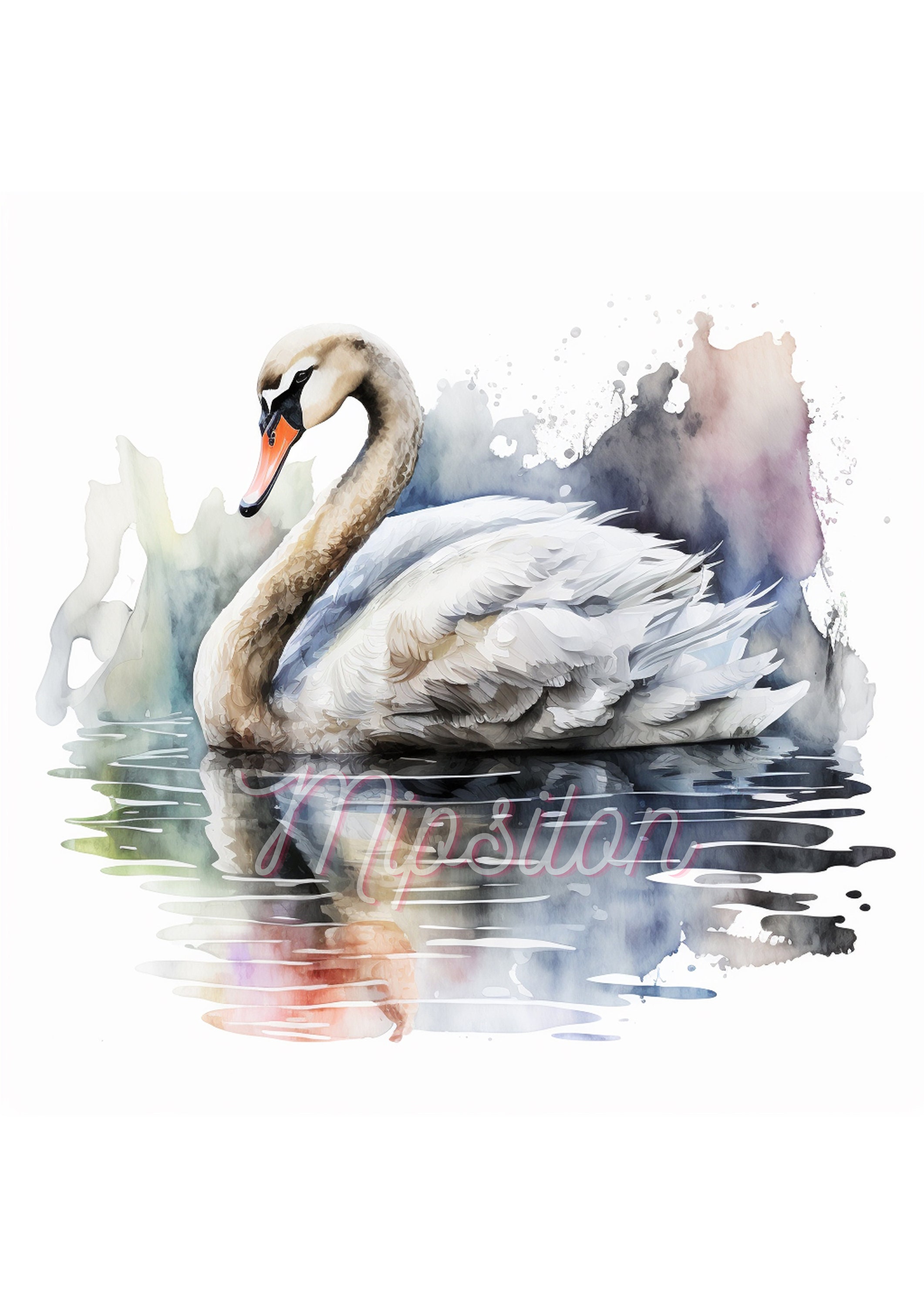 Water Color Swan Clipart, 12 High Quality Jpgs , Digital Download, Mugs ...