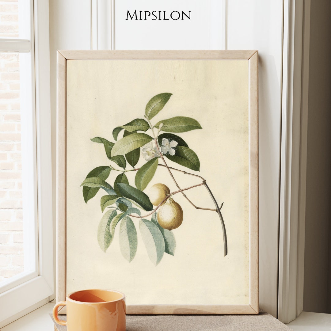 Vintage Citrus Wall Art Print Printable Lemon Art, Timeless Wall Decor ...
