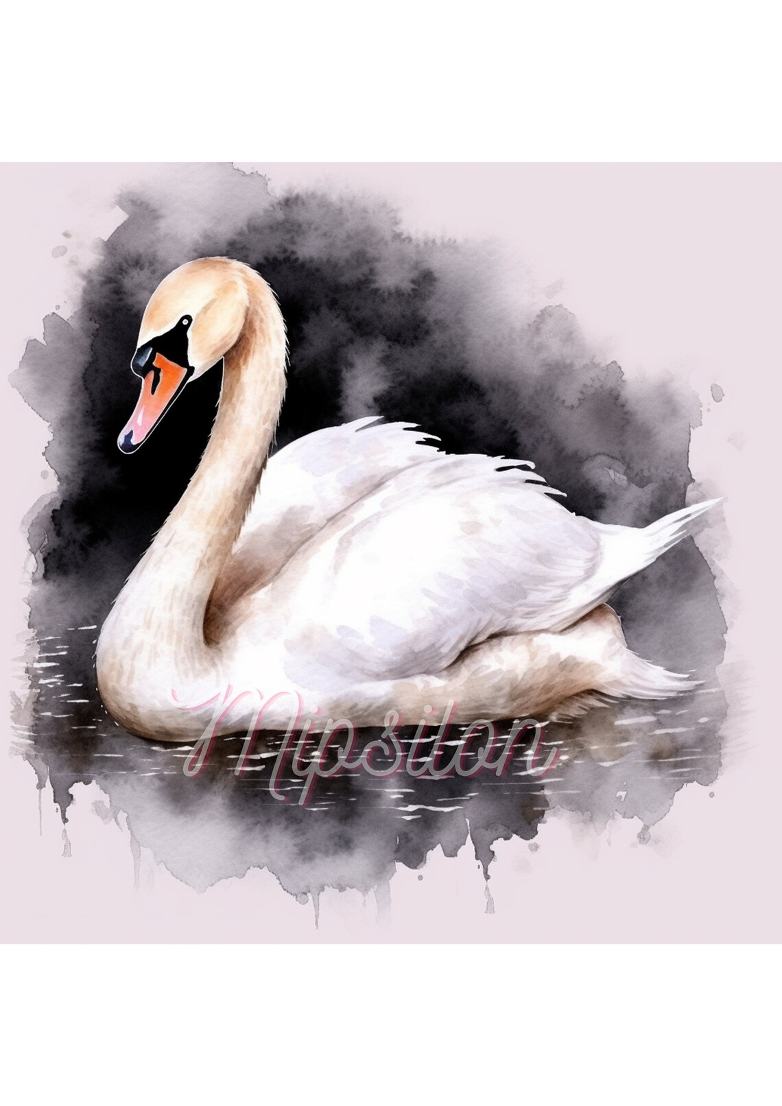 Water Color Swan Clipart, 12 High Quality Jpgs , Digital Download, Mugs ...