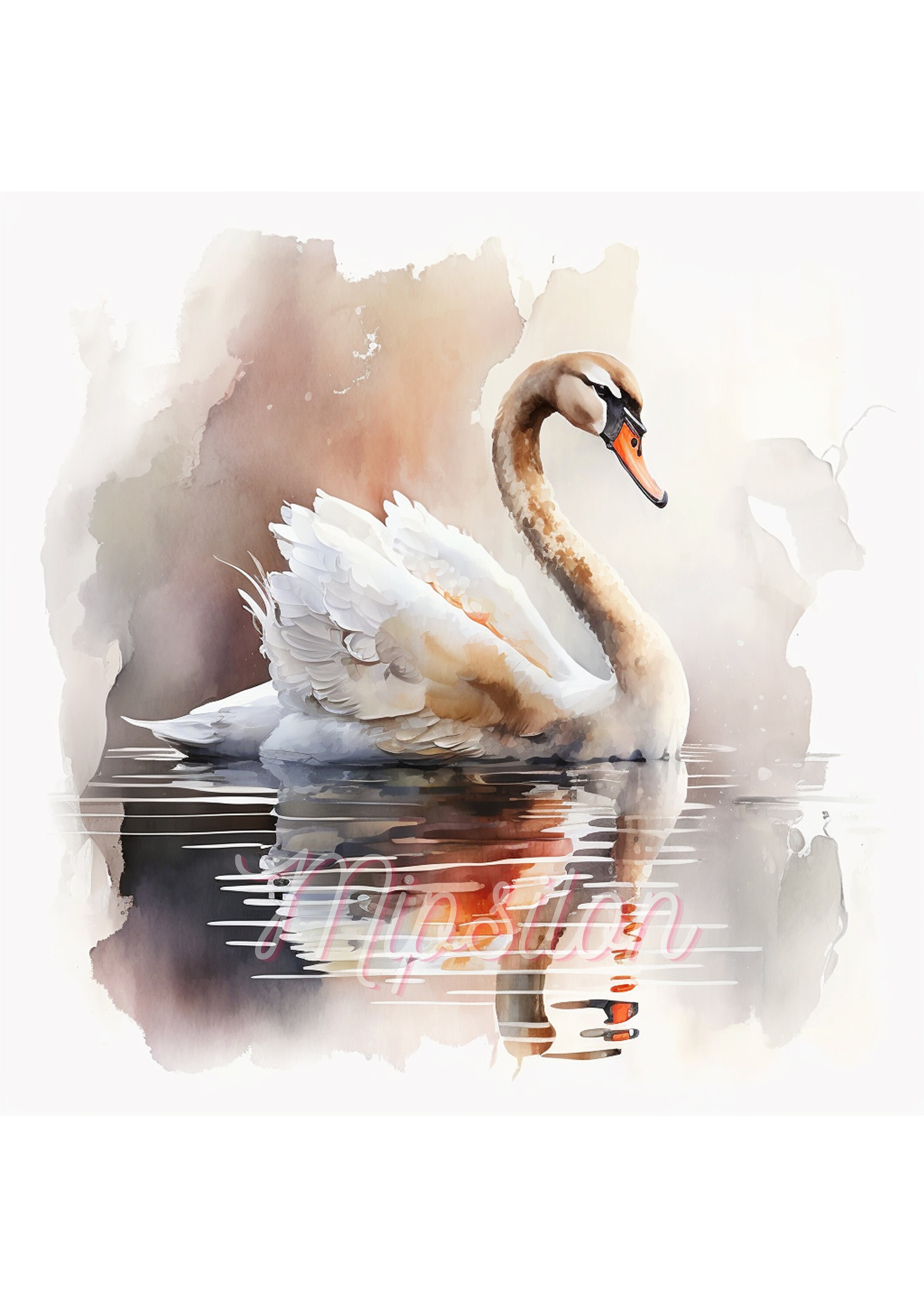 Water Color Swan Clipart, 12 High Quality Jpgs , Digital Download, Mugs ...