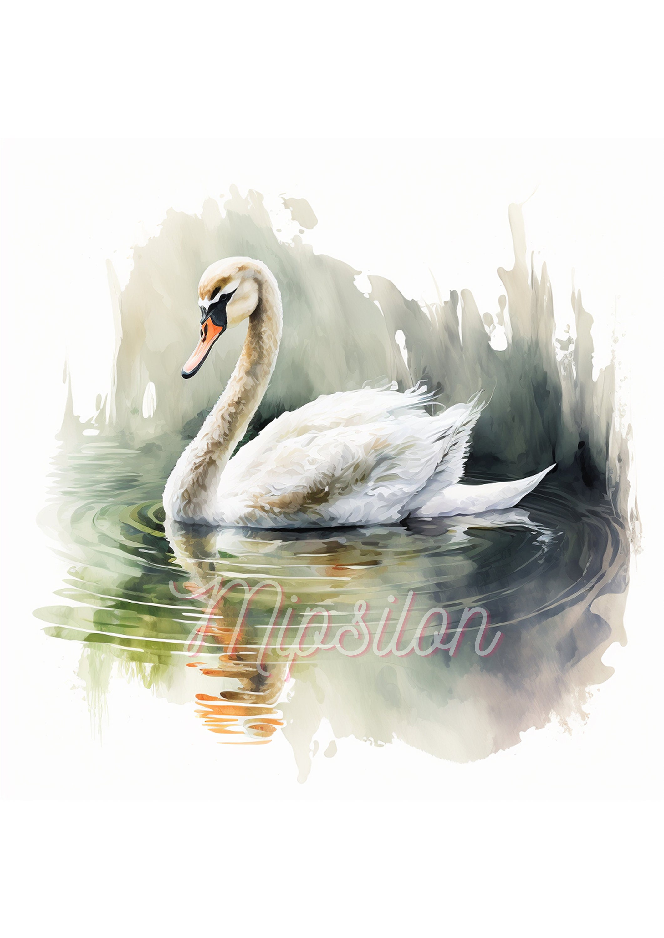 Water Color Swan Clipart, 12 High Quality Jpgs , Digital Download, Mugs ...
