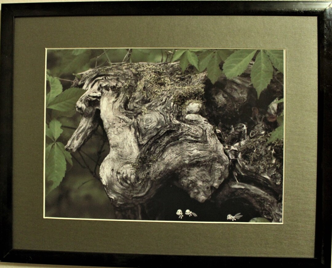 Forest Face and Little Ones Imaginary Life Forms Forest Face Fantasy ...