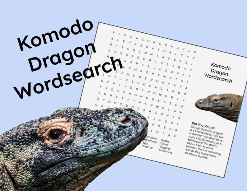 Komodo Dragon Wordsearch | DOWNLOAD | Printable Animal Wordsearch ...