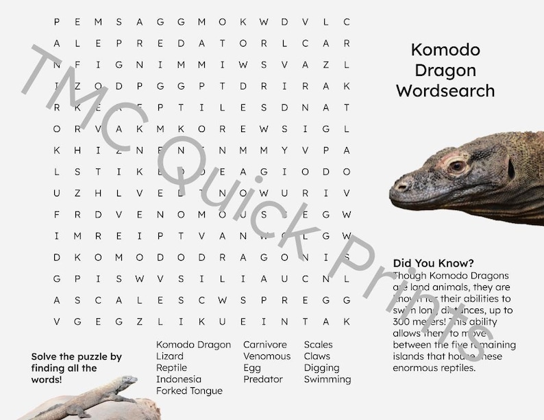 Komodo Dragon Wordsearch | DOWNLOAD | Printable Animal Wordsearch ...