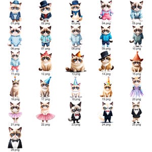 26 Grumpy Cats Dressed up PNG Clipart Bundle, Fun Designs of Cute ...