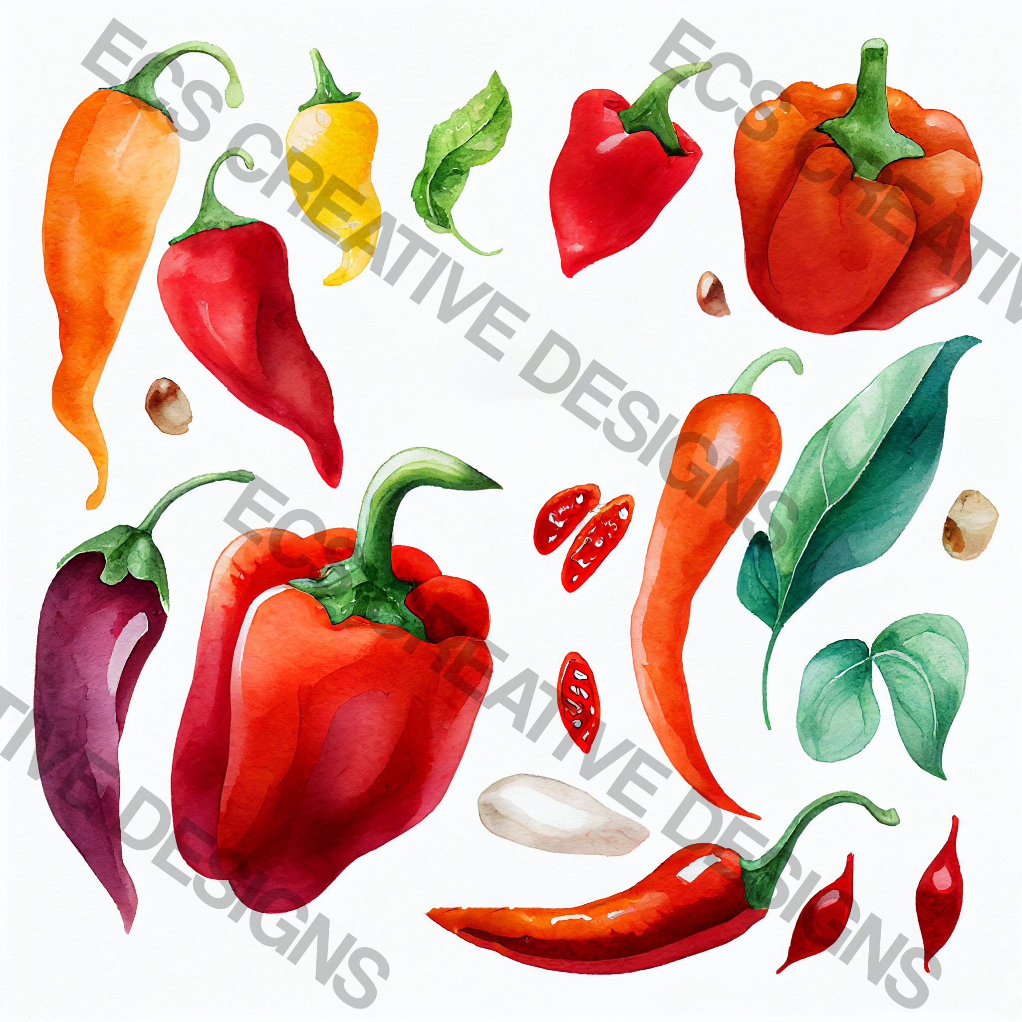 Watercolor Pizza Clipart Bundle, Commercial Use, Instant Digital ...