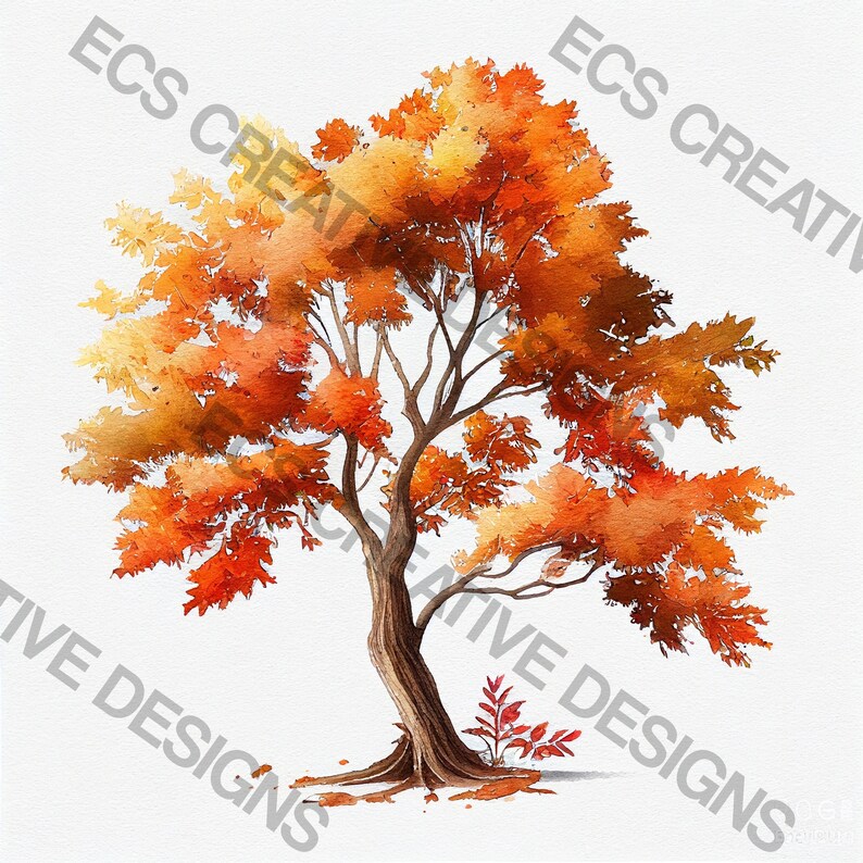 Watercolor Autumn Trees Clipart PNG Bundle, for Commercial Use, 300DPI ...