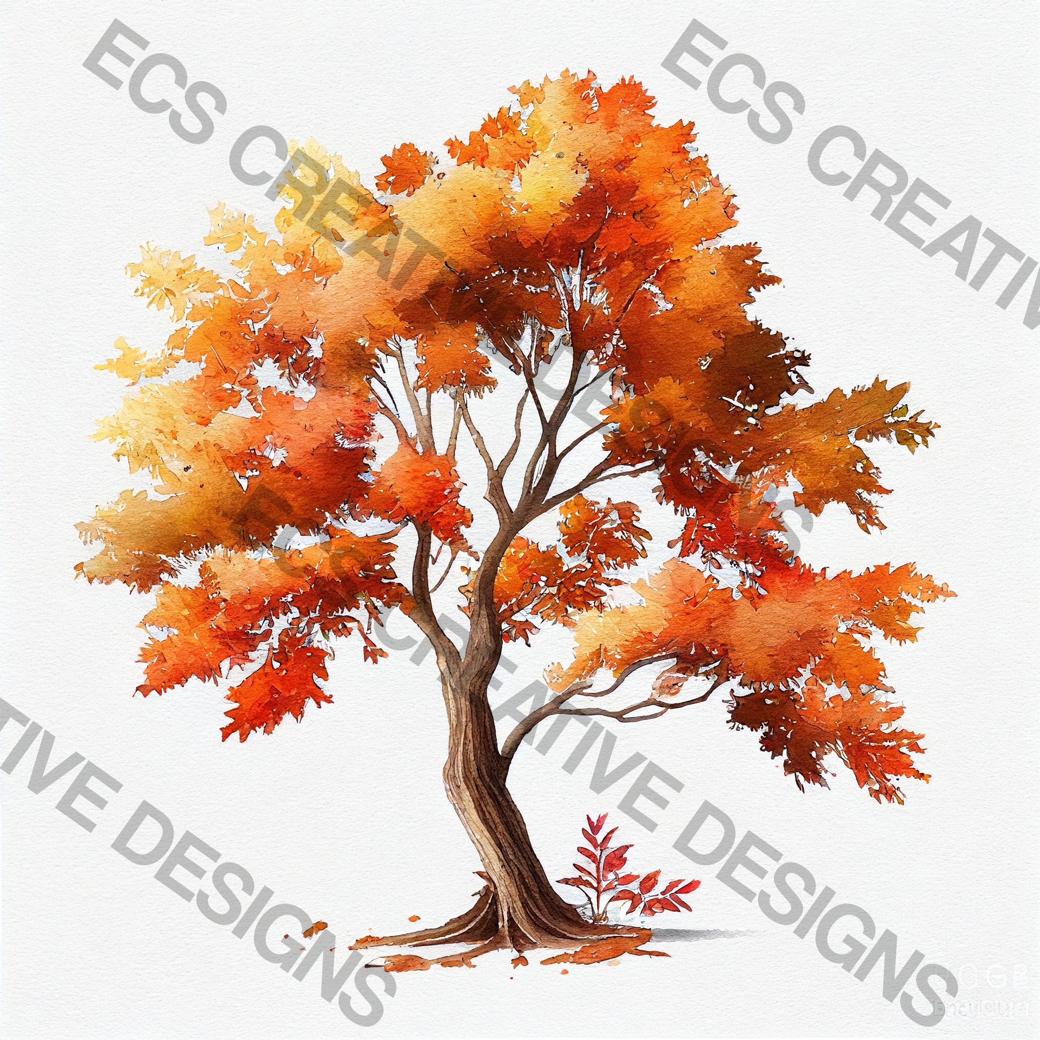 Watercolor Autumn Trees Clipart PNG Bundle, for Commercial Use, 300DPI, Fall Clipart, Junk ...