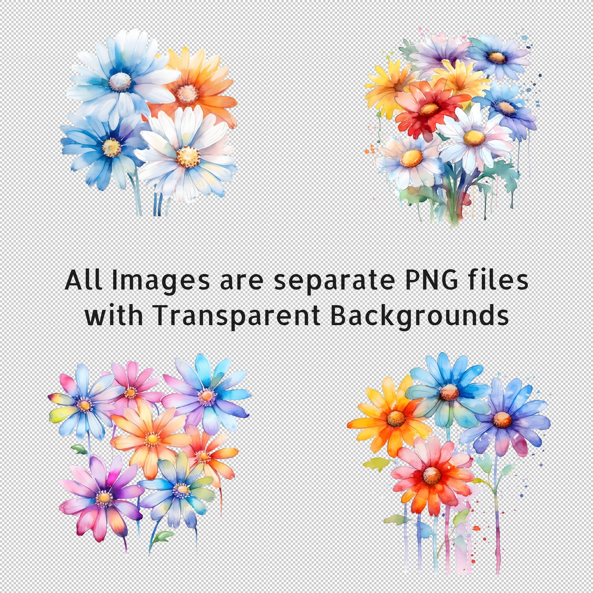 Watercolor Daisy Clipart Bundle, With Transparent Backgrounds ...