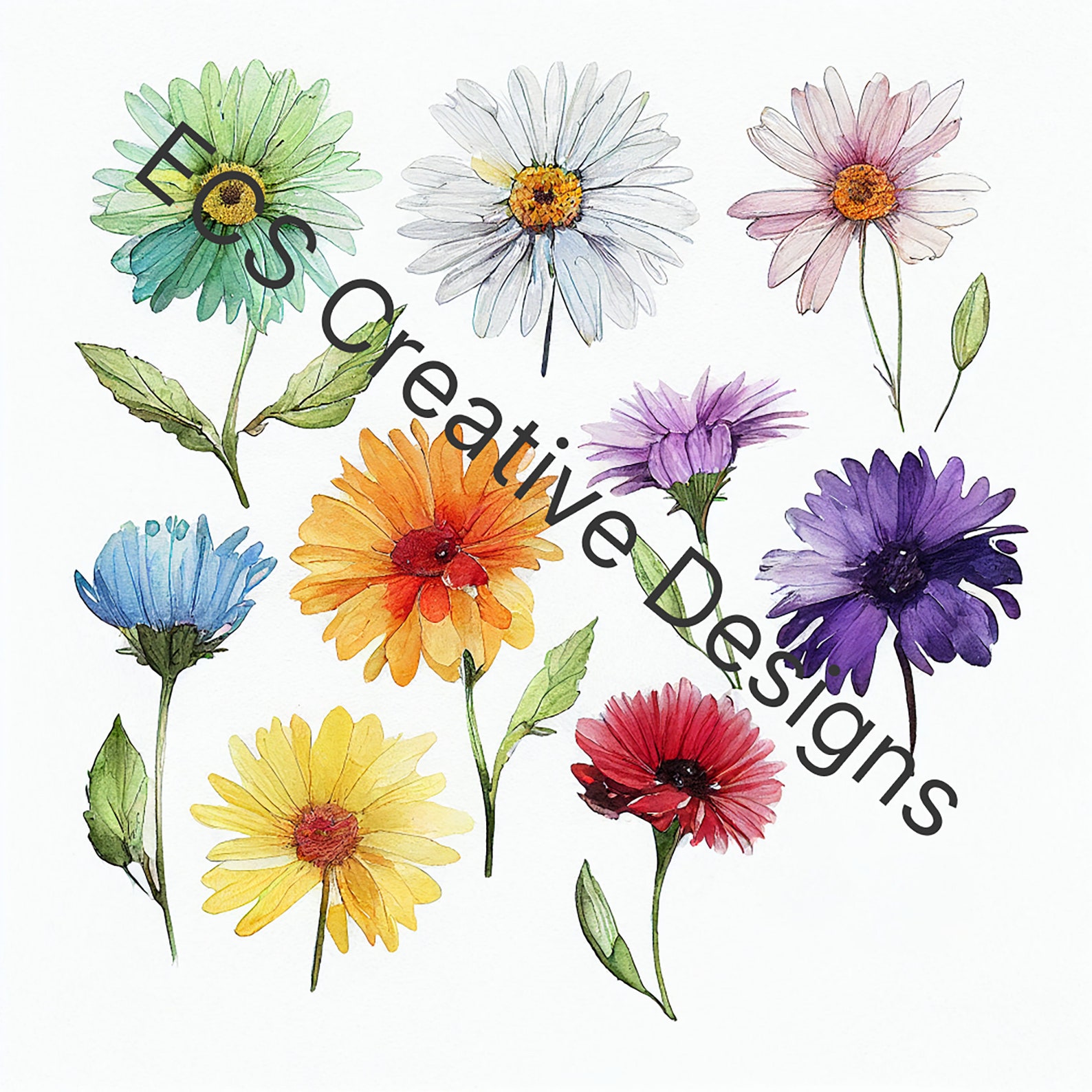 Watercolor Daisies Clipart PNG Bundle, Commercial Use, 300DPI, Vase ...