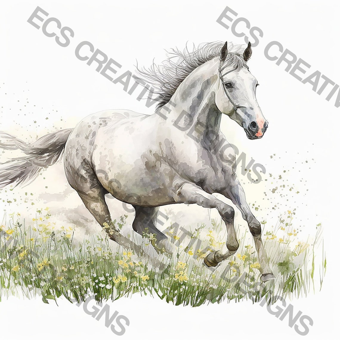 Horse Watercolor Clipart Bundle, Digital Download, Commercial Use, 300 ...