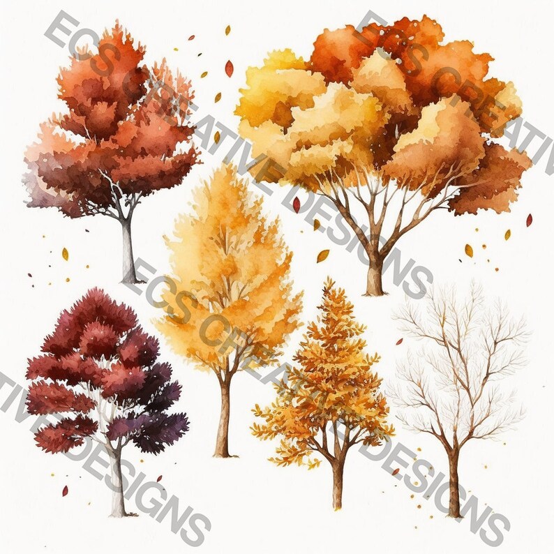Watercolor Autumn Trees Clipart PNG Bundle, for Commercial Use, 300DPI ...