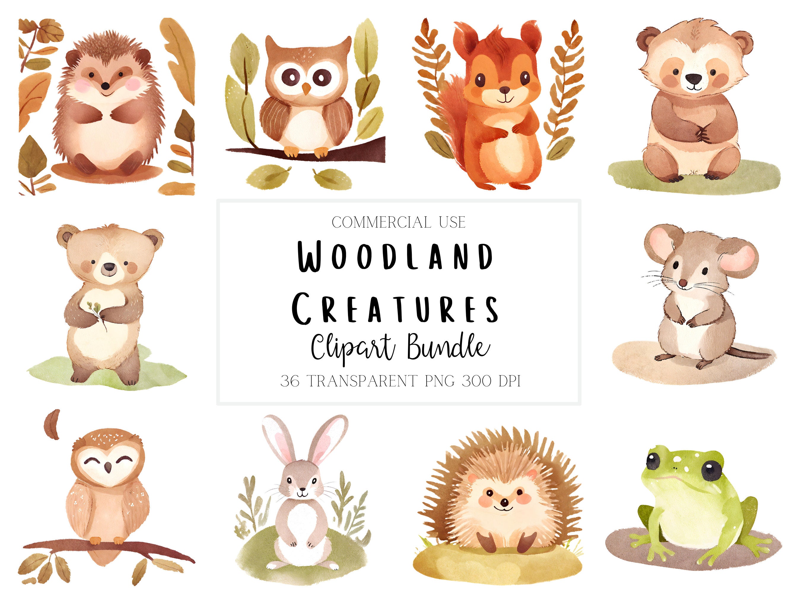 Watercolor Woodland Creatures 36 PNG Clipart Bundle, Instant Digital ...