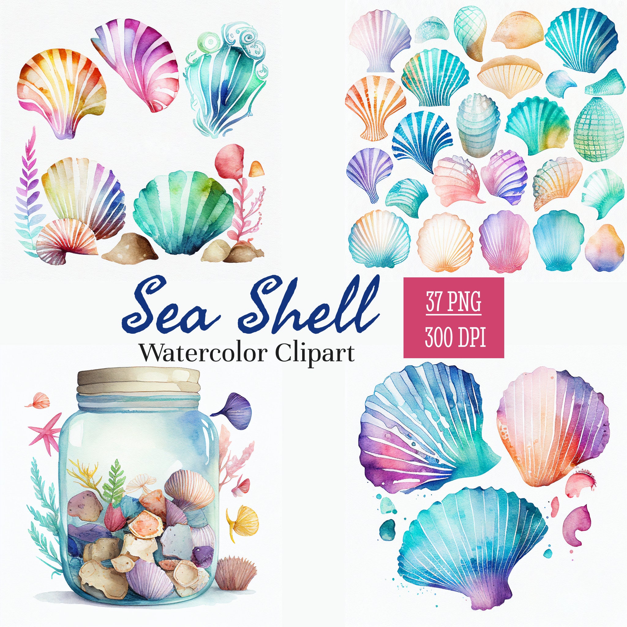 Watercolor Sea Shell Clipart Bundle, Commercial Use,instant Digital ...