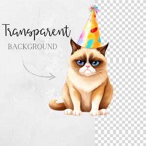 26 Grumpy Cats Dressed up PNG Clipart Bundle, Fun Designs of Cute ...