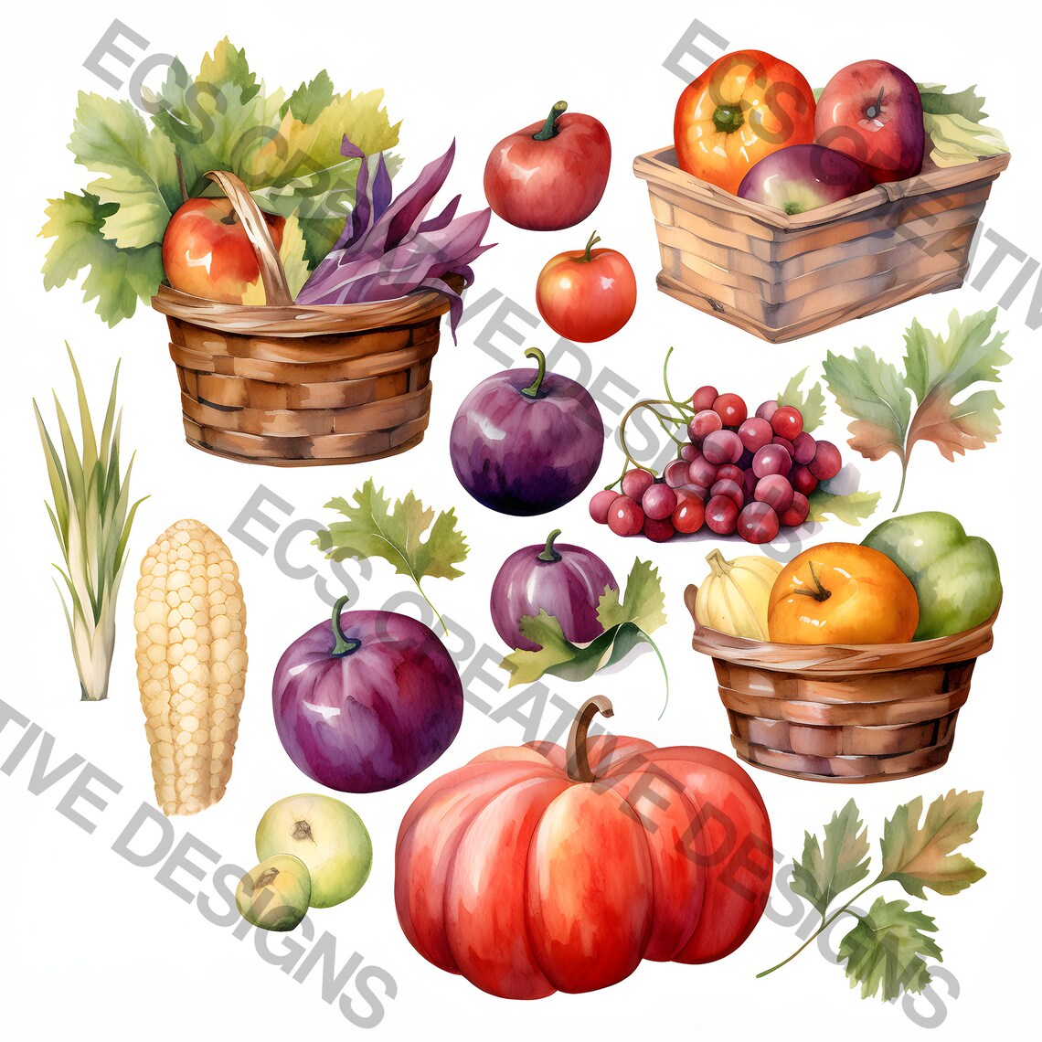Watercolor Autumn Harvest Clipart Bundle of 26 PNG Files for Digital ...