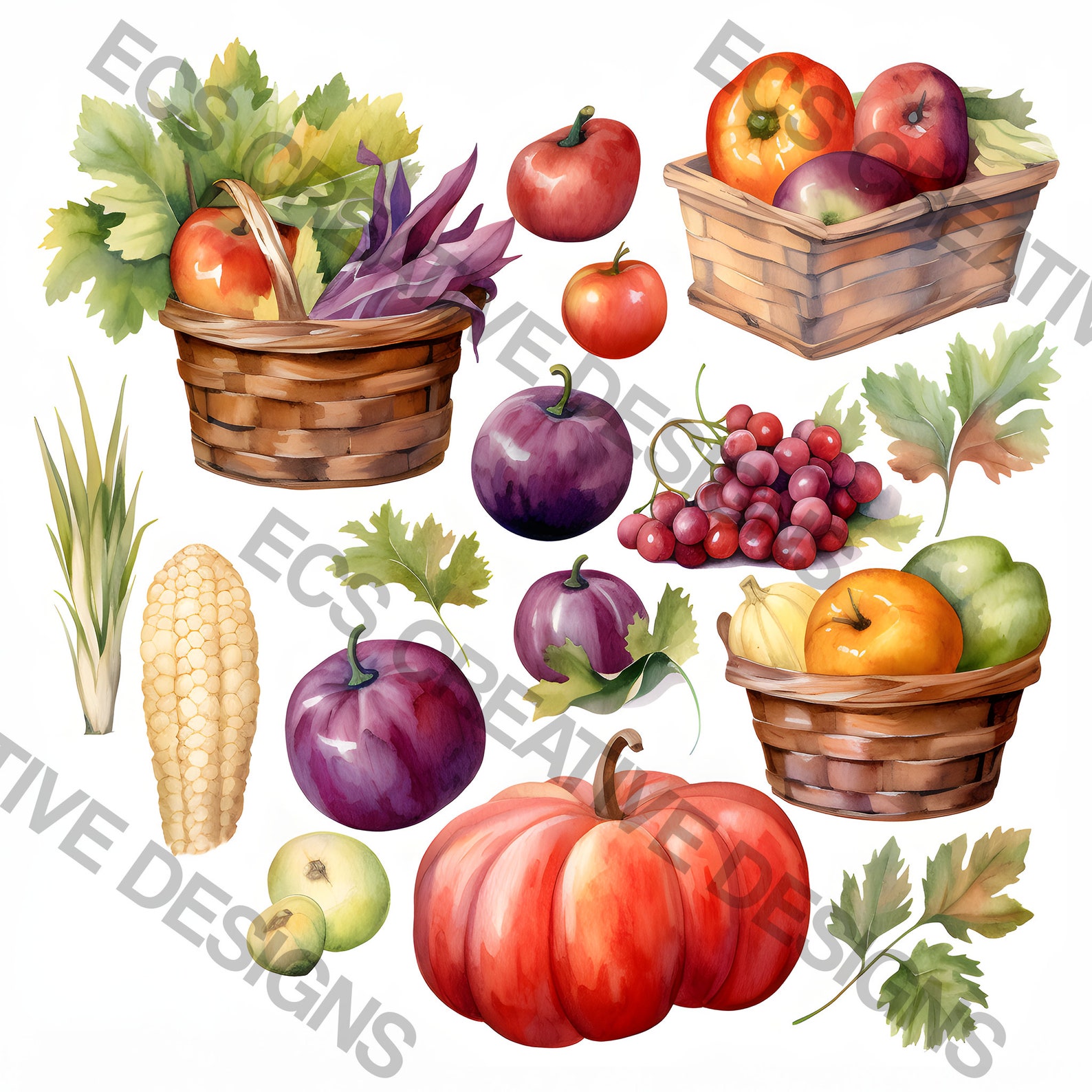 Watercolor Autumn Harvest Clipart Bundle of 26 PNG Files for Digital ...