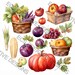 Watercolor Autumn Harvest Clipart Bundle of 26 PNG Files for Digital ...