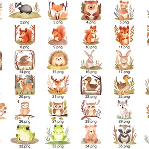 Watercolor Woodland Creatures 36 PNG Clipart Bundle, Instant Digital ...